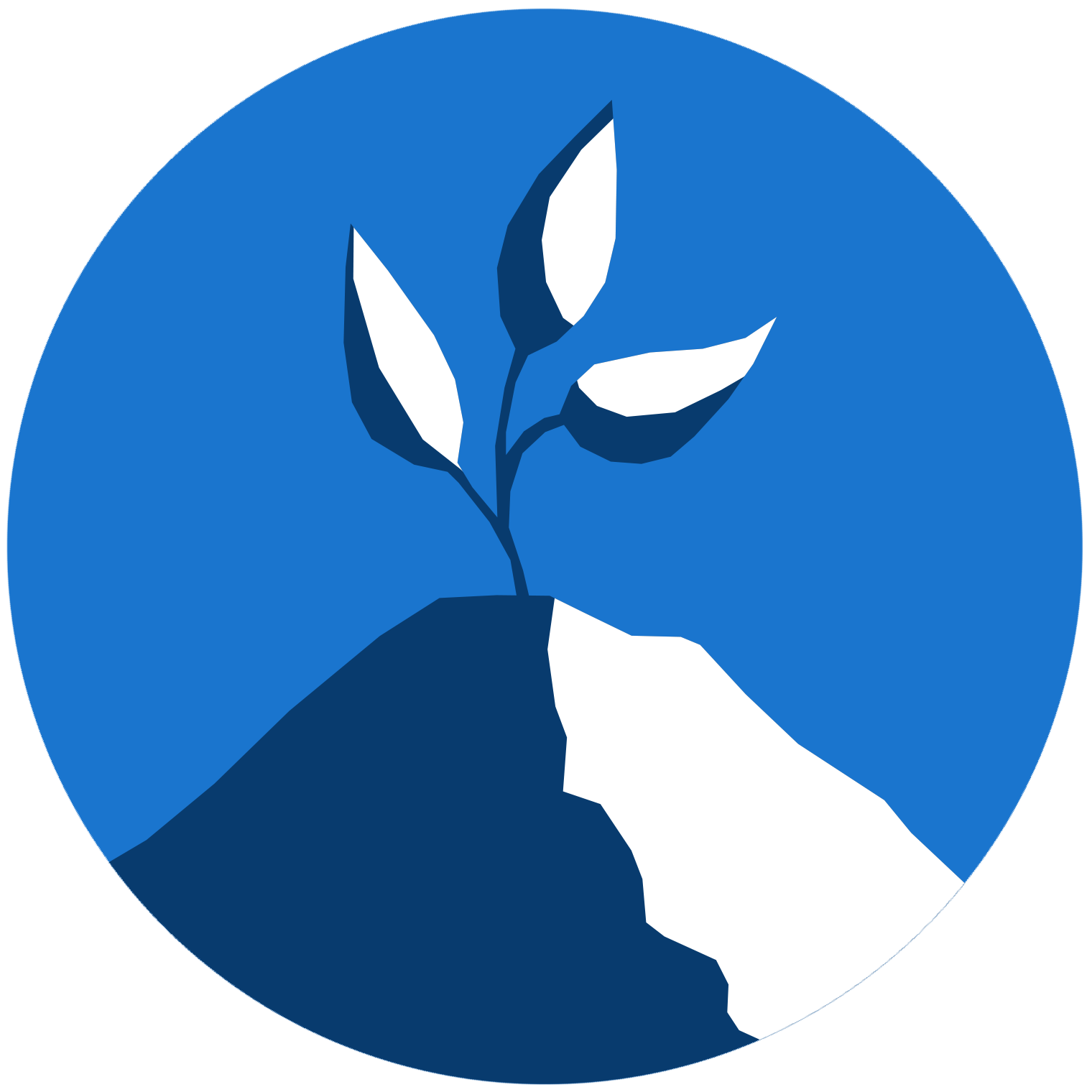 About Us – Encore Healthcare